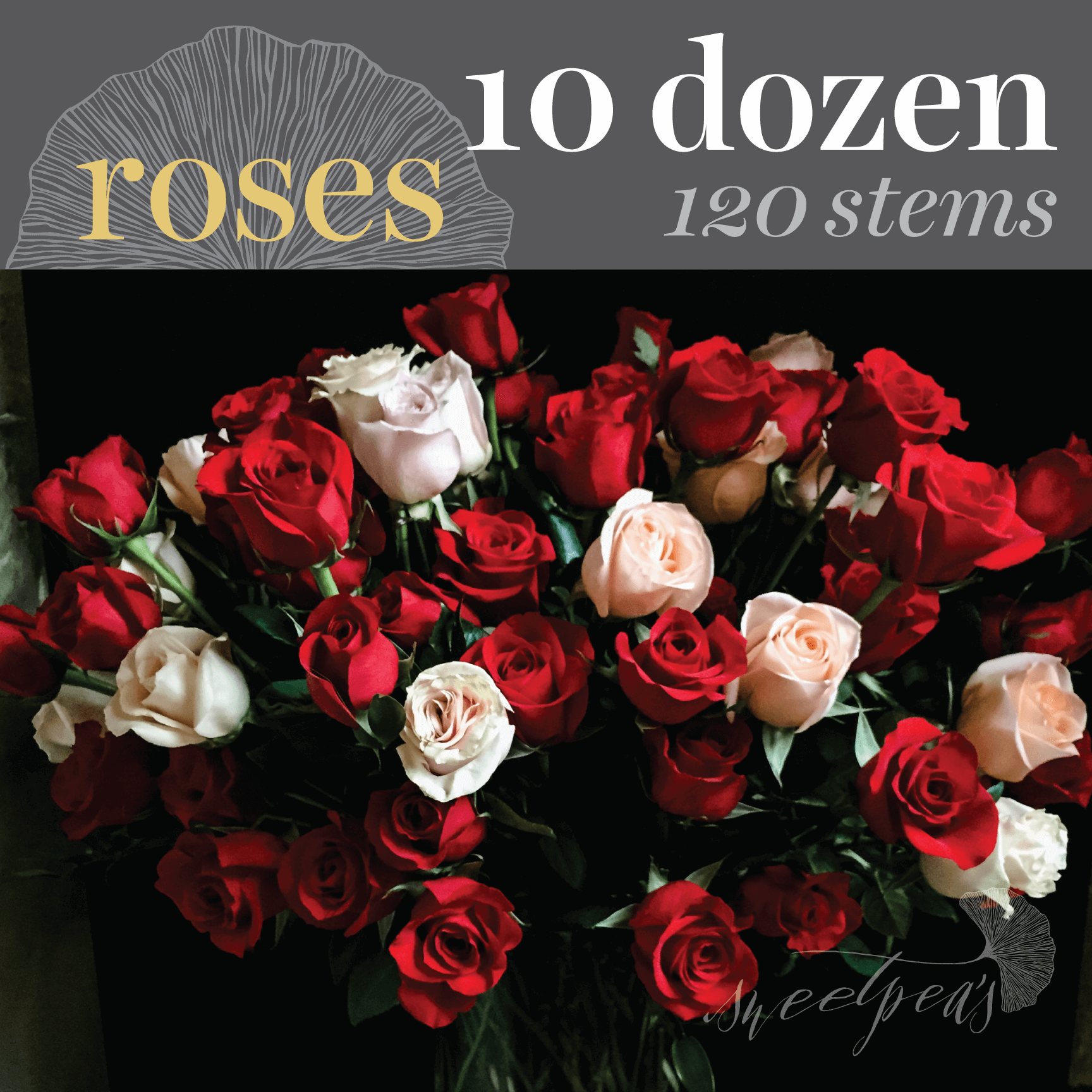 Toronto Flower Delivery - 10 Dozen (120 stems) Assorted Roses Bouquet ...